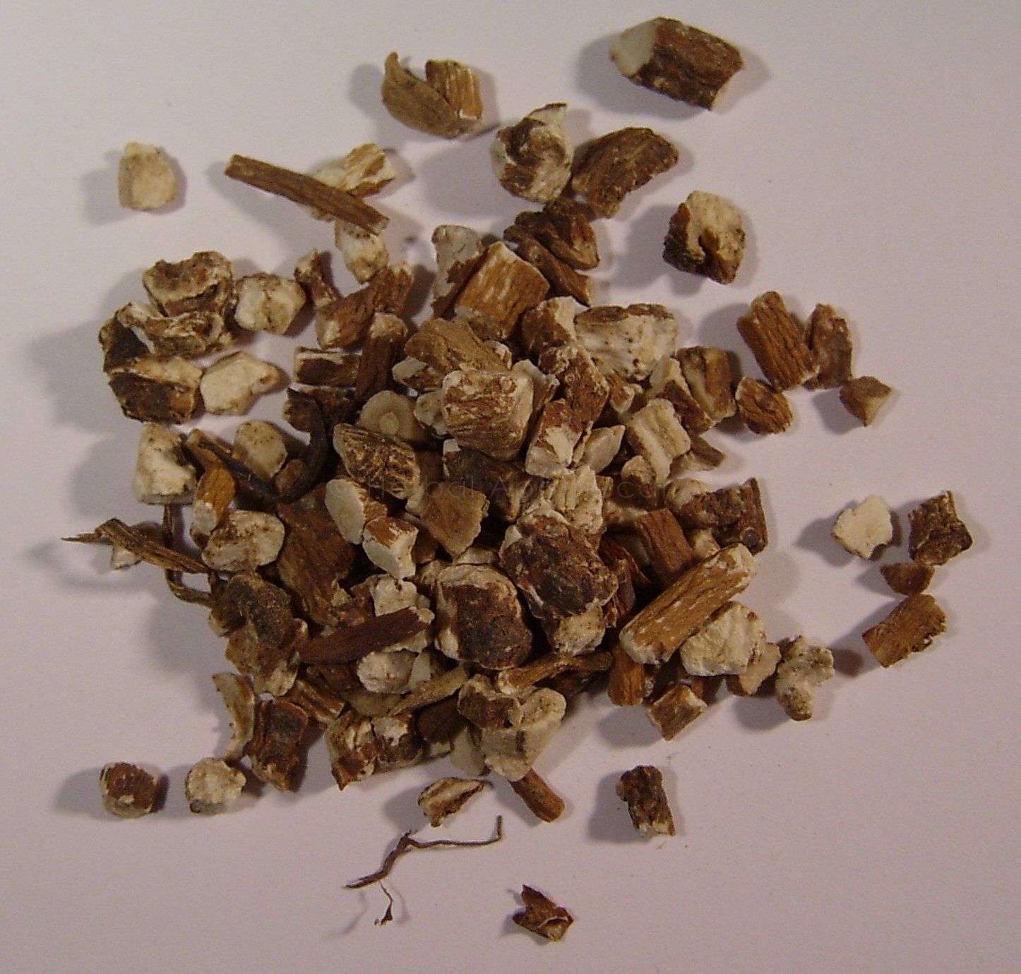 DANDELION ROOT | Broadstairs Herbal Apothecary