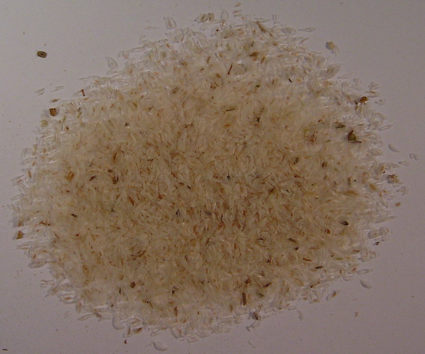 PSYLLIUM HUSKS | Broadstairs Herbal Apothecary